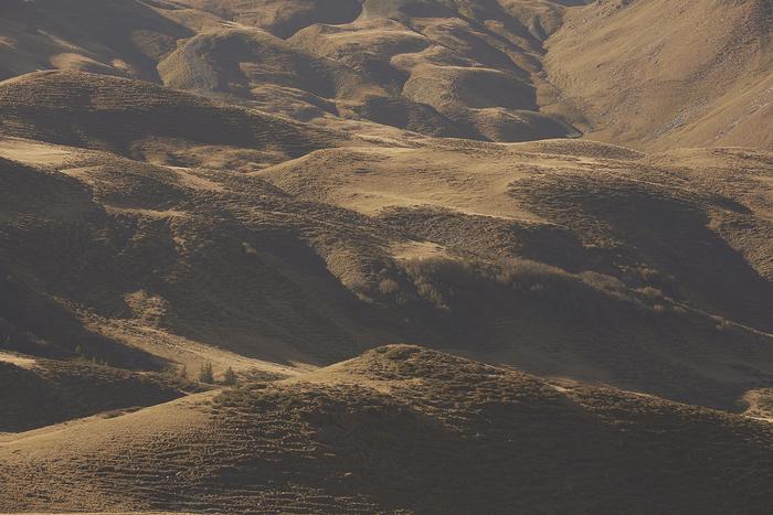 SPRAYA | NOT JUST A LABEL