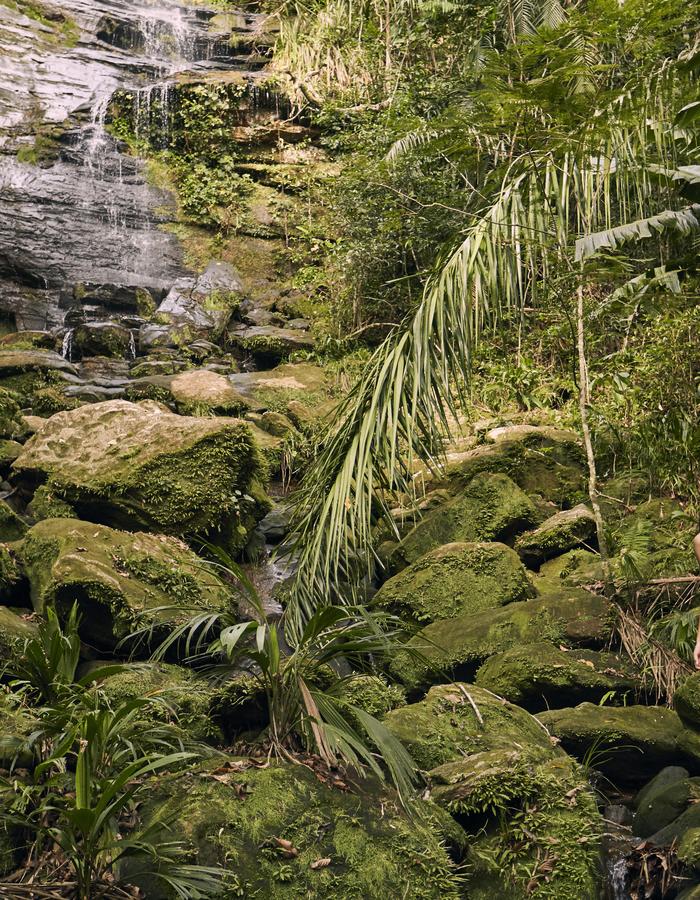 Baobab Designer Brand & Products | NOT JUST A LABEL