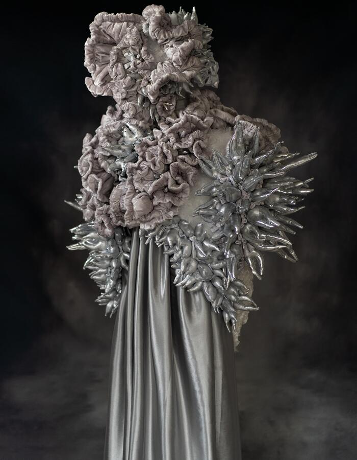 Corals | NOT JUST A LABEL